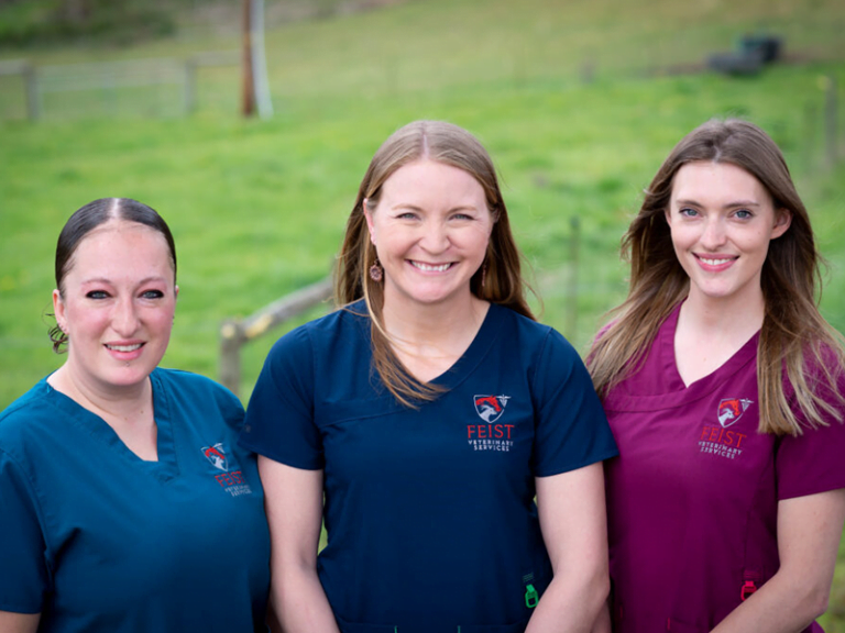 Mobile Large Animal Veterinarian and Farm Vet | Feist Veterinary Service